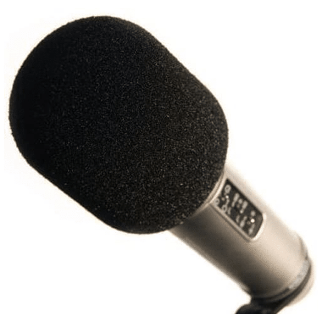 RØDE WS2 Pop Filter/Wind Shield for NT1, NT1-A, NT2-A, Procaster ...