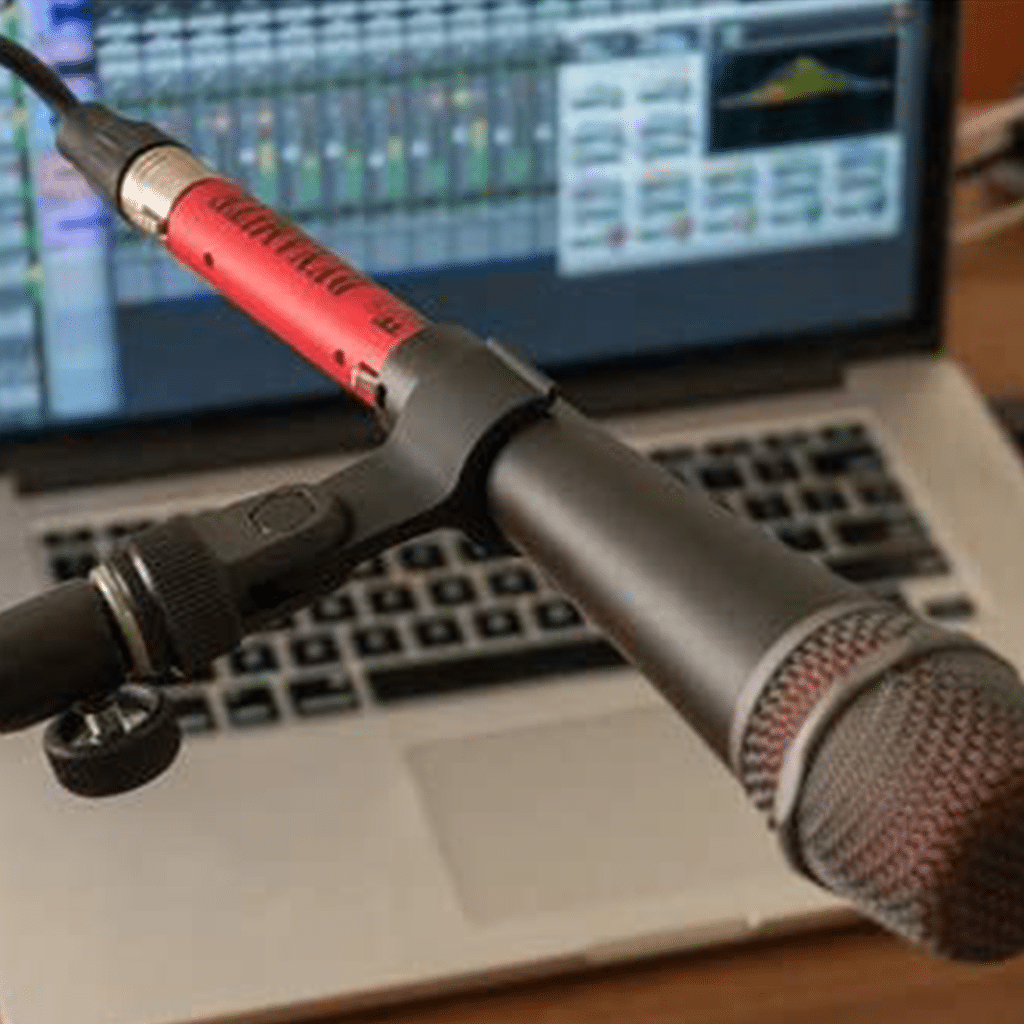 sE Electronics DM1 Dynamite 1-Channel Active Inline Preamp - AX STORE